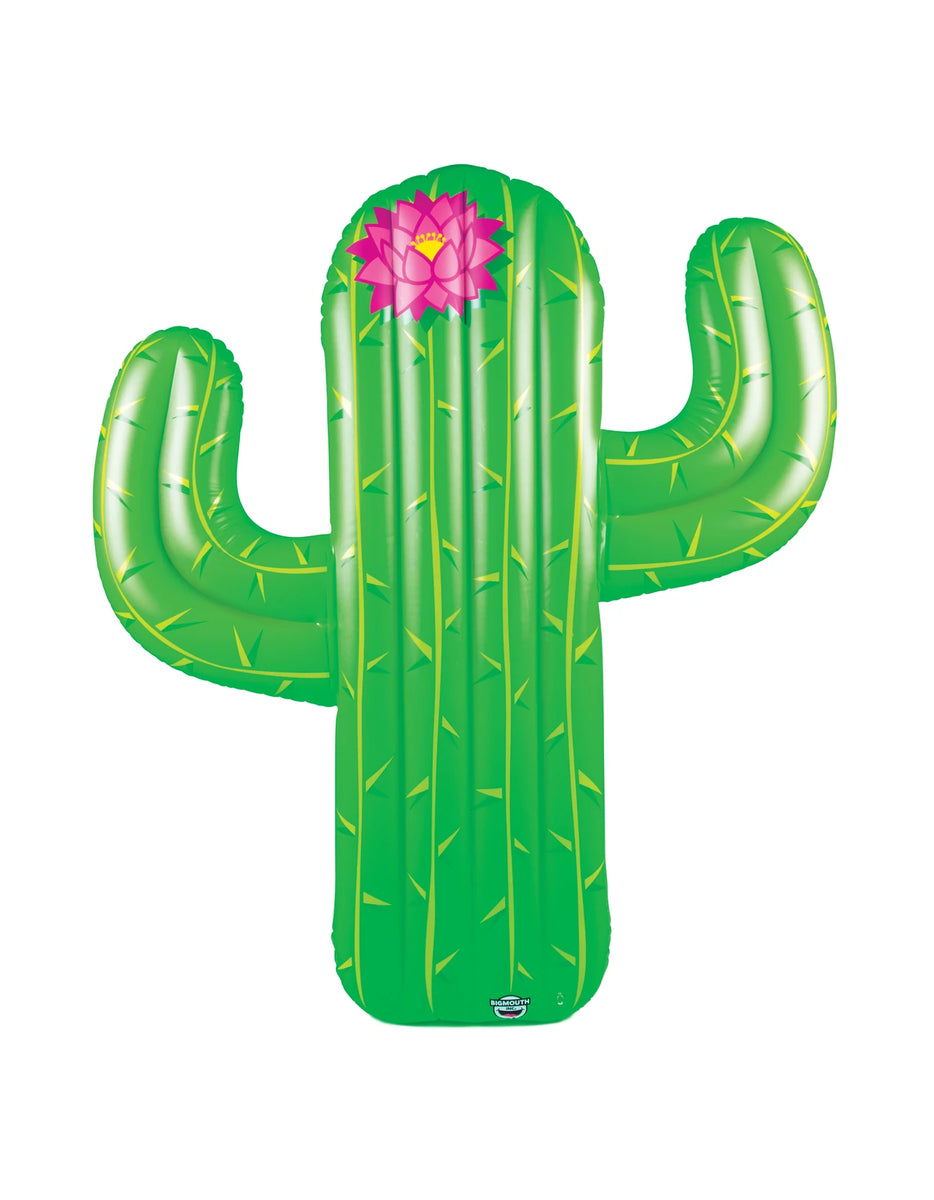 Giant Cactus Pool Float – Sparks at Brio Academy